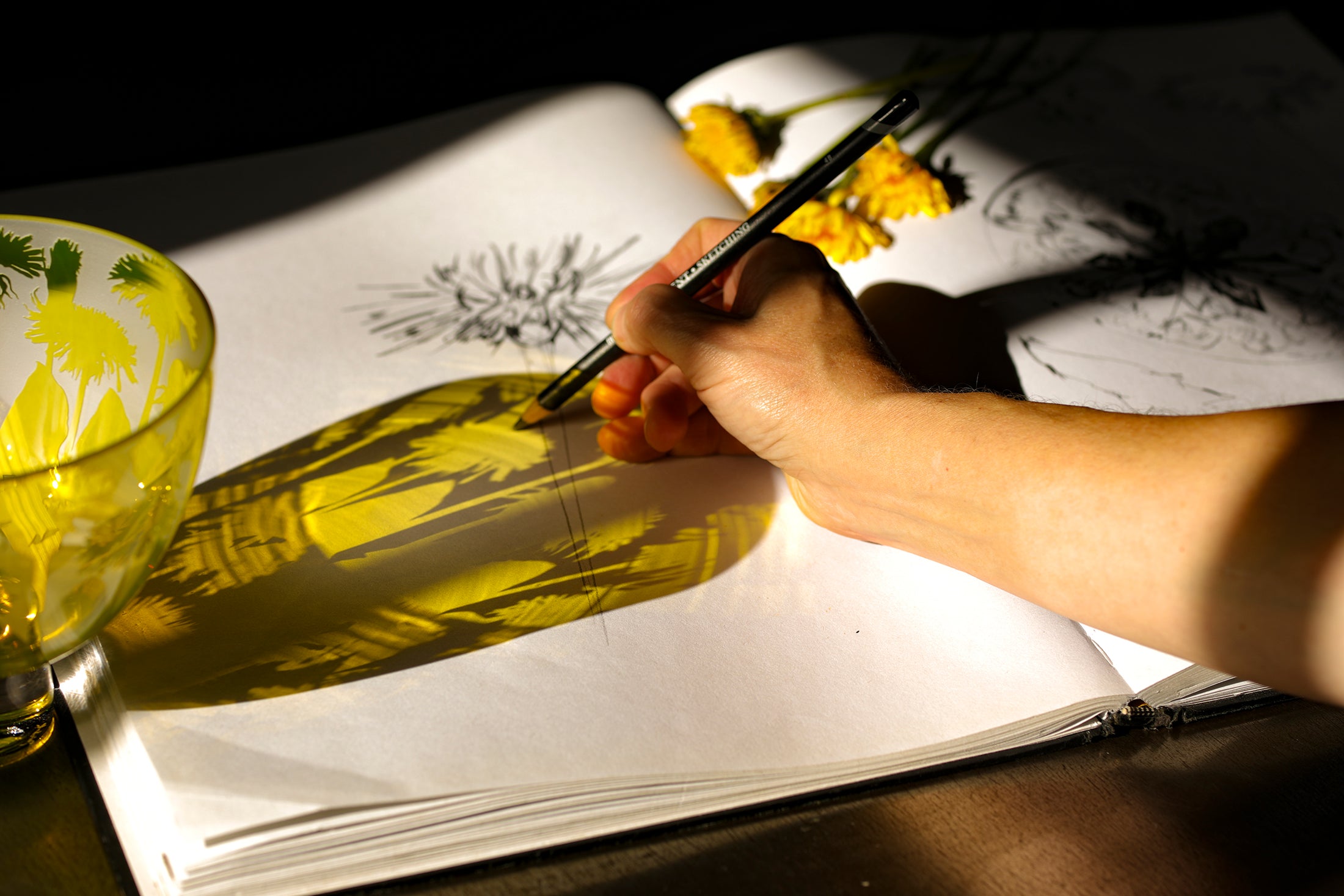 Light, Glass, Drawing – Gillies Jones Glass